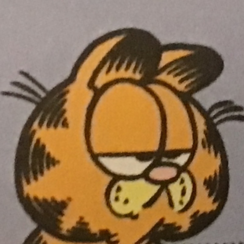 Garfield | Free Chat with AI Bot