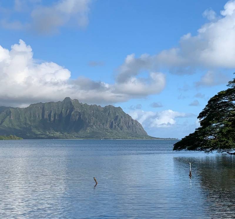 TravelGPT - AI travel guide | Free Chat with AI Bot