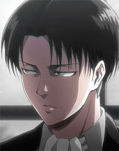 Levi Ackerman | Free Chat with AI Bot